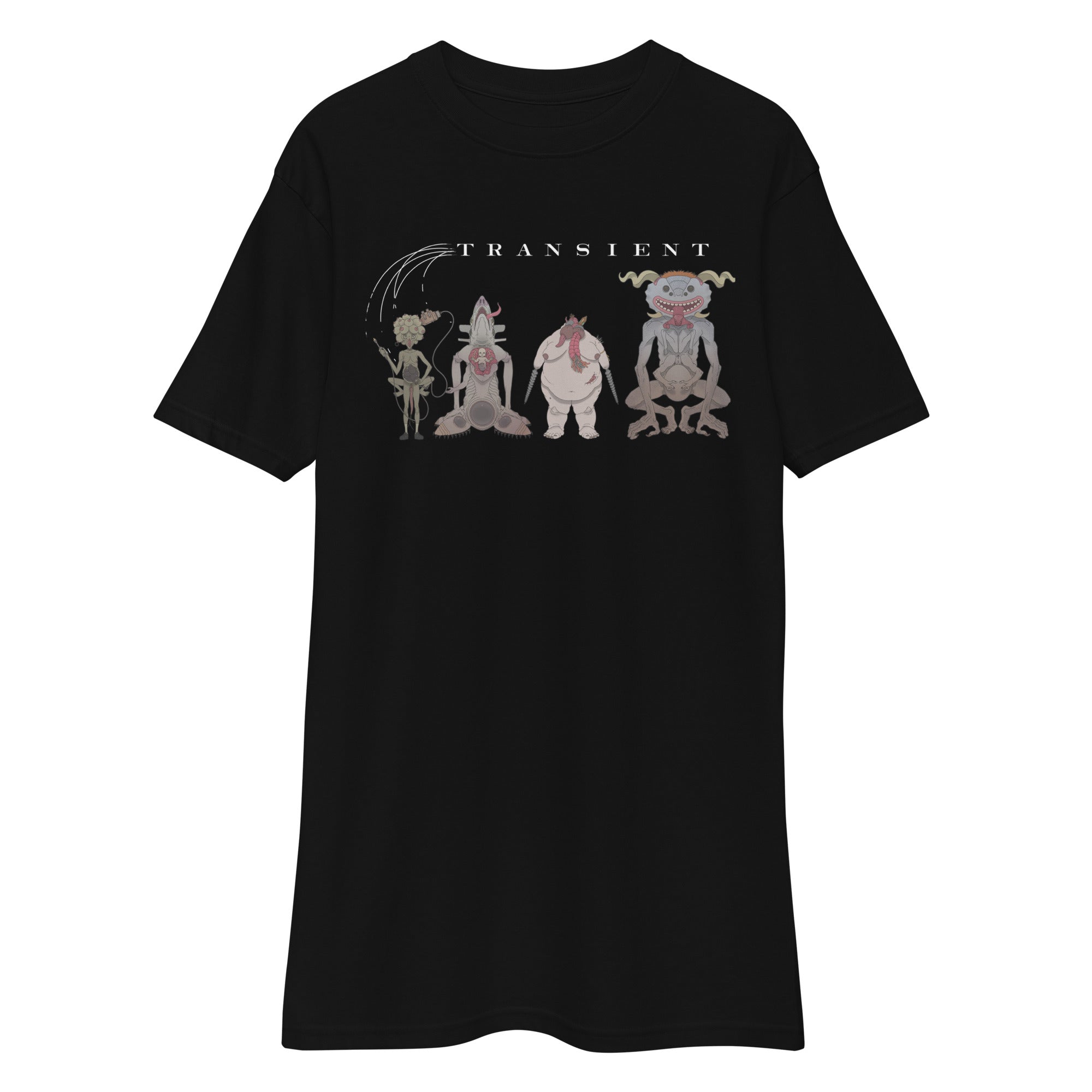 Lineup – Transient Man